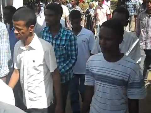 University of Kassala